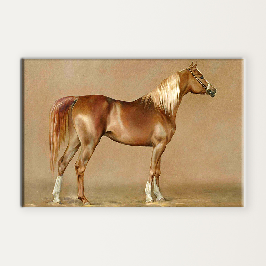 Arab Horse - by Anna Bazhenova | MUR Gallery